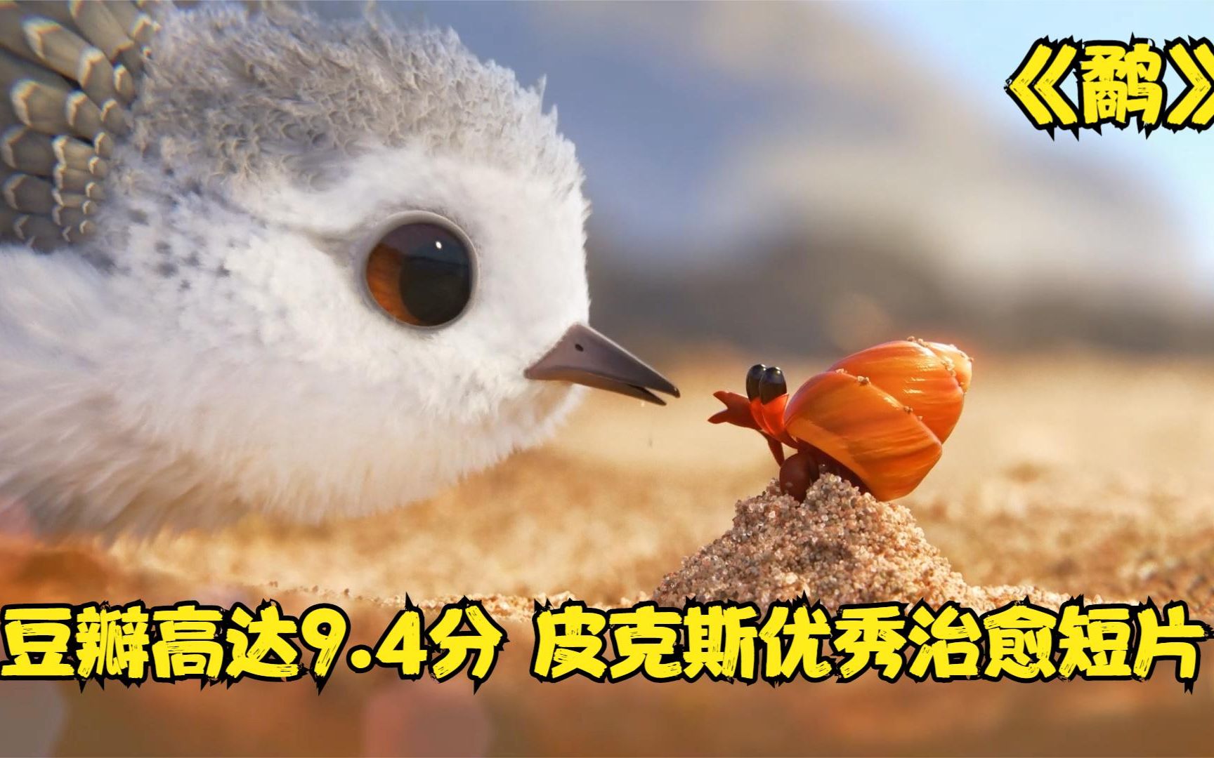 萌翻了!豆瓣9.4分,皮克斯优秀《鹬》,治愈动画短片,值得一看