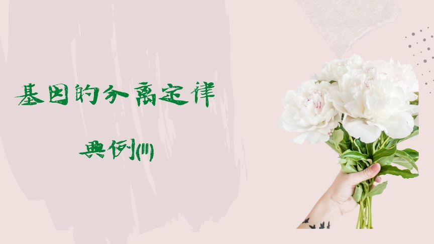 #高中生物#高考 基因的分离定律 典例(11)