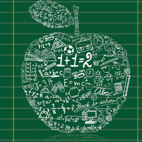 数学啄木鸟0 