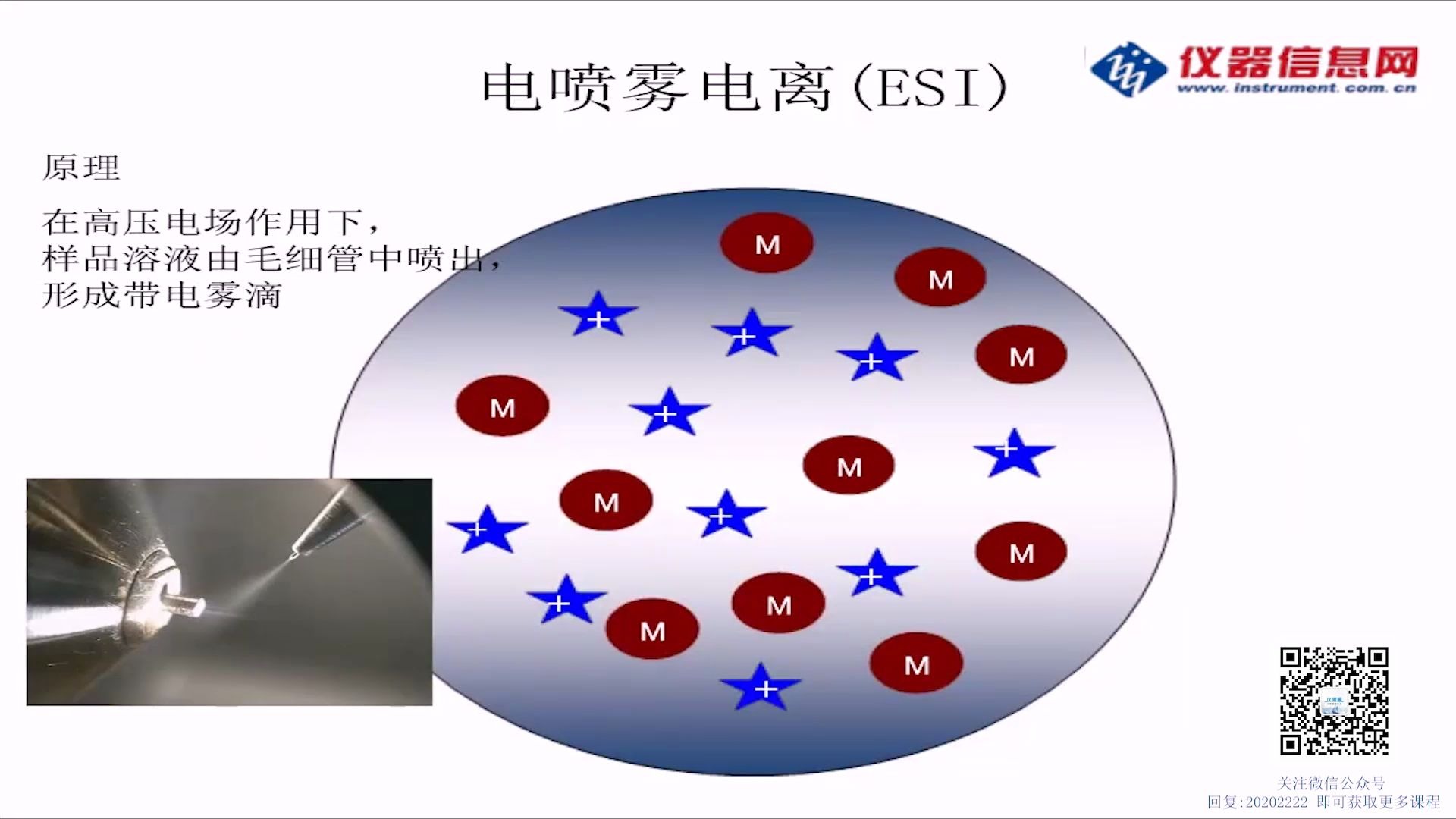 第六节 液相色谱质谱联用仪与农兽药残留分析
