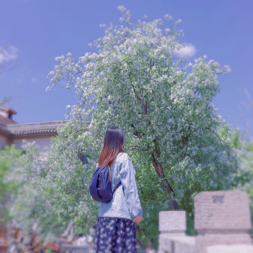 mxy0301 