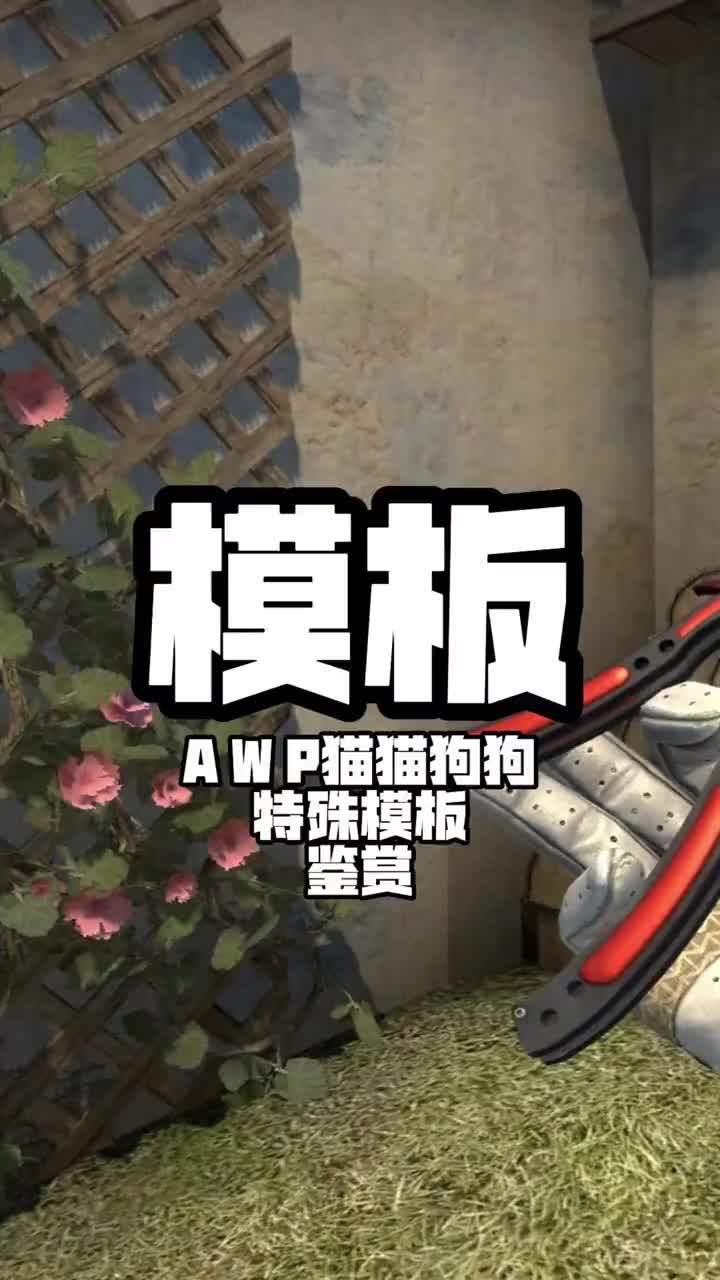 《猫猫狗狗的特殊模板你知道哪些呢》#csgo #csgo饰品_电子竞技热门...