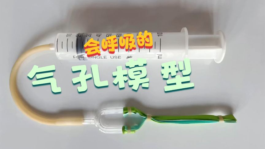 气孔模型的制作