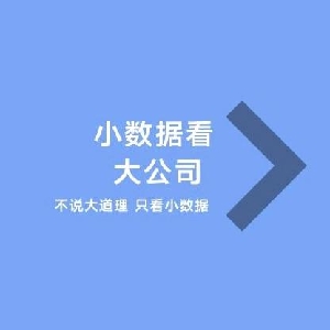 小数据大公司 