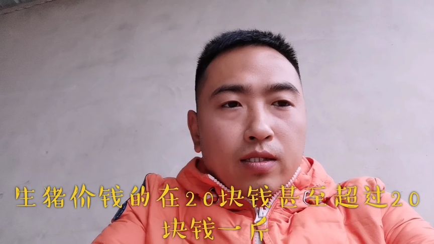 养猪真的那么赚钱?利润有多少,算完一目了然!