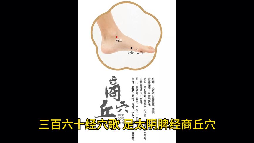 足太阴脾经商丘穴歌诀及取穴法