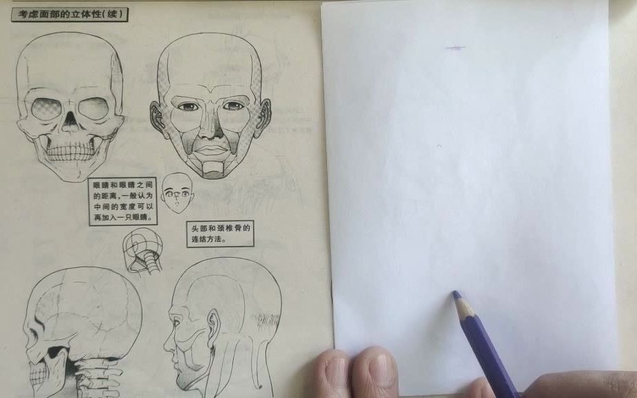 经典漫画教材解读0048 正面头部结构解析 正面头骨画法展示