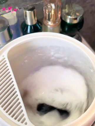 ...一个小型洗衣机,洗的干净还方便,分开洗更卫生!#迷你洗衣机 #洗袜子