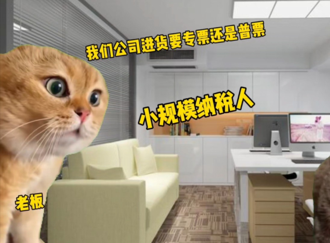 【税务小知识】小规模纳税人进货:选择普票还是专票?