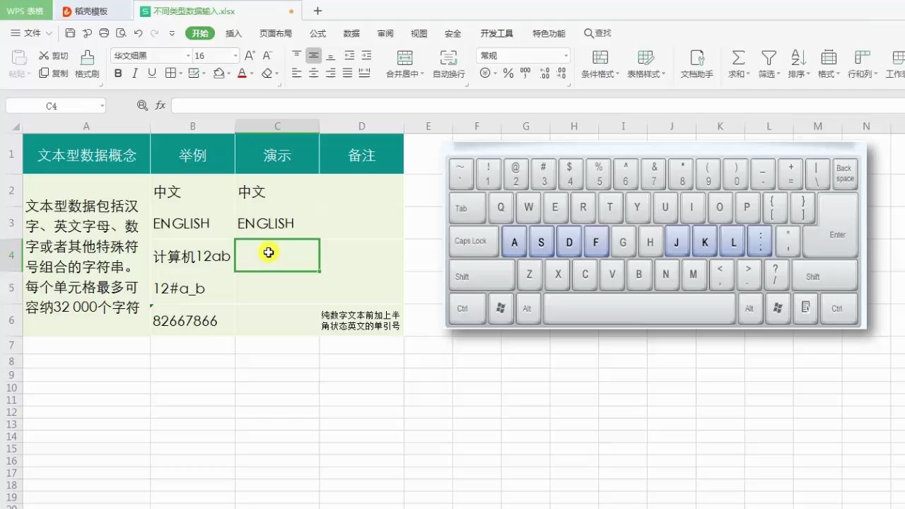 文本型数据输入