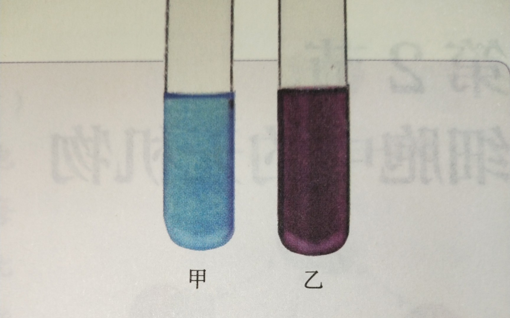 生物实验:双缩脲试剂检验蛋白质