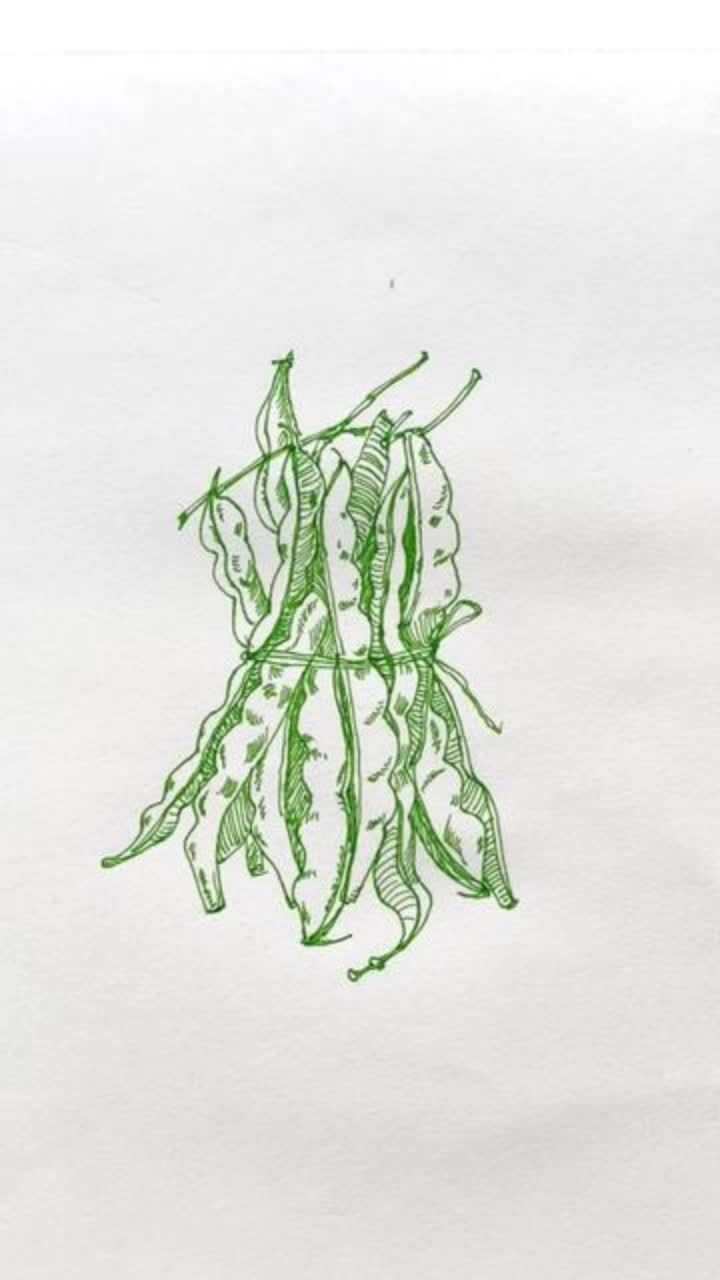 豆豆来一 捆 蔬菜速写#简笔画 #速写 #零基础学画画 #钢笔画 #每日一画