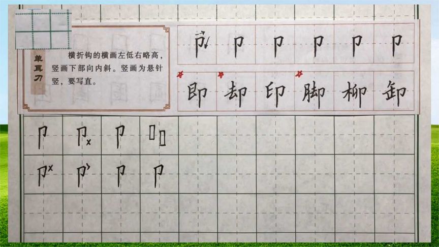 硬笔书法教学教程,硬笔书法 一年级,大林寺桃花硬笔书法的写法