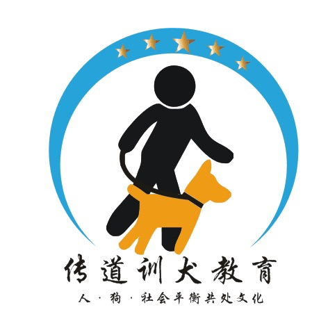 重庆训犬师-琪哥 