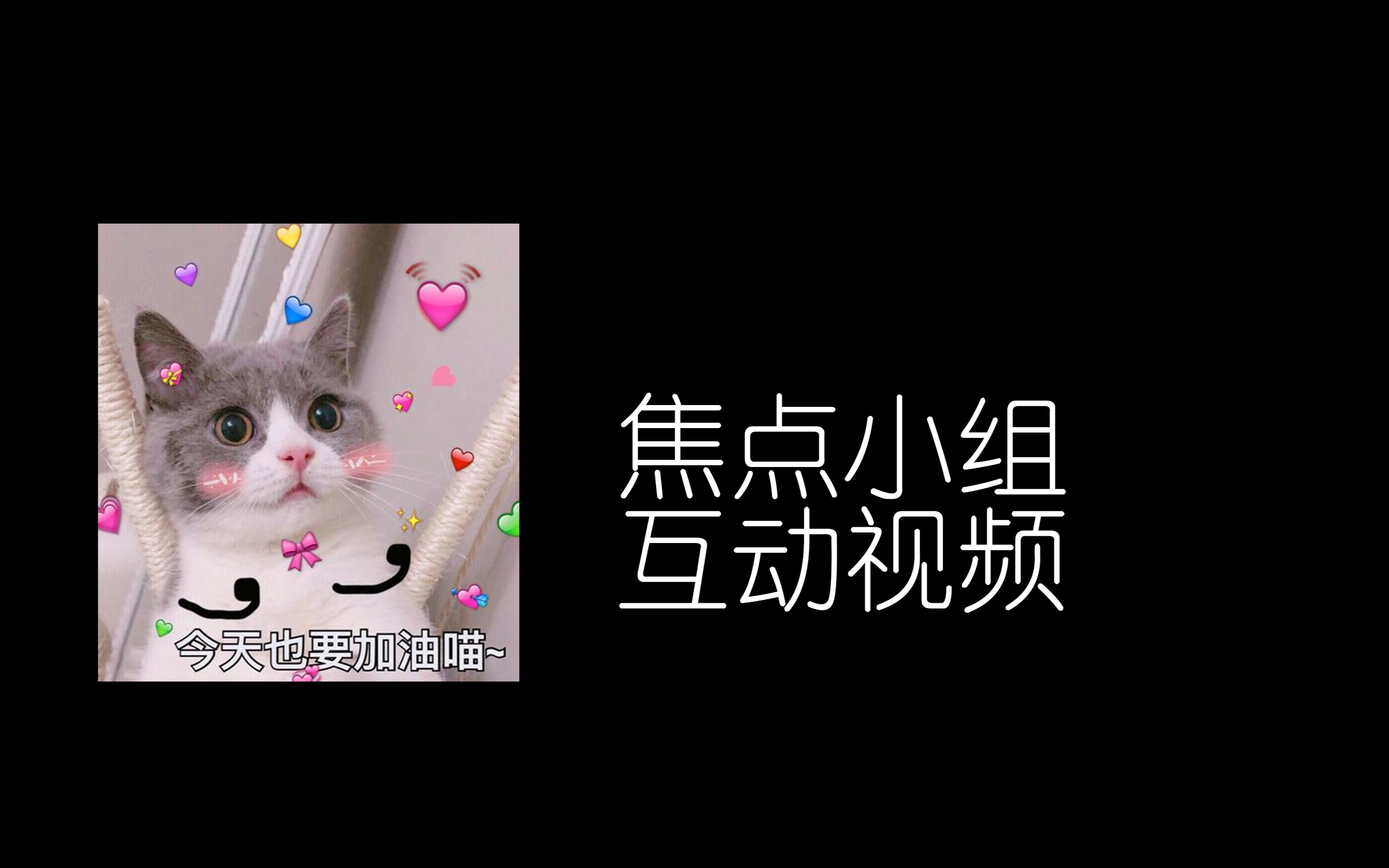 焦点小组互动视频