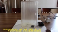 天网负离子发生器介绍视频