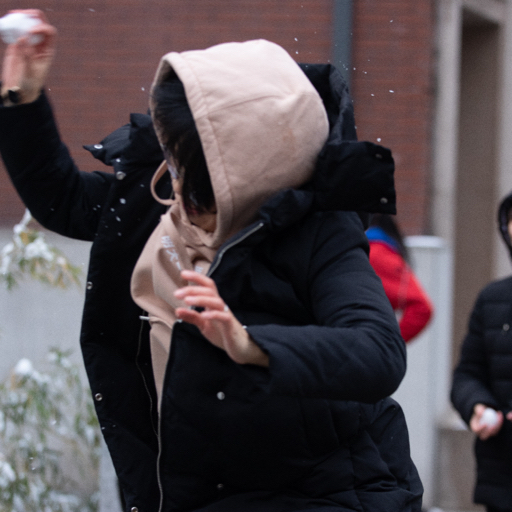 司机的语文吃播 