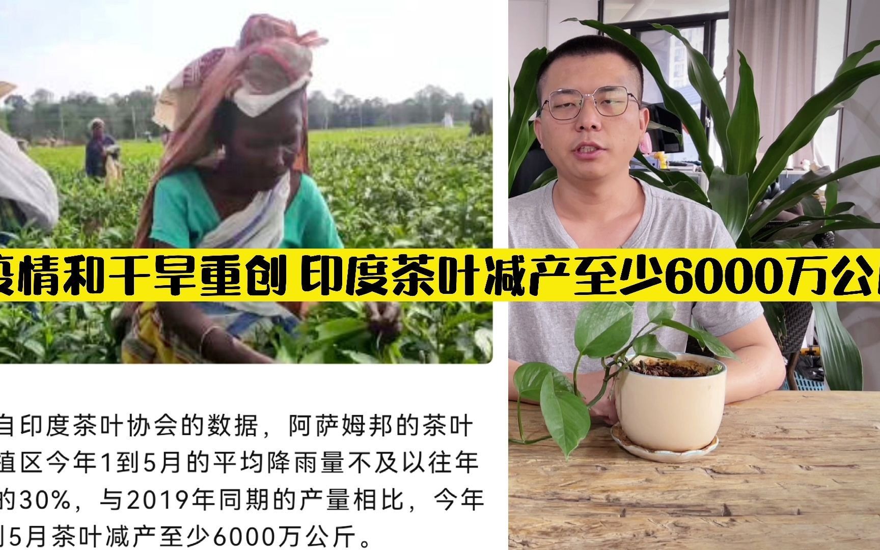 新式茶饮业为产品立门槛(茶界新闻播报第十期)