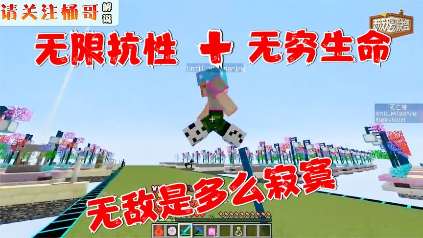 我的世界:我有无限抗性和无穷生命的胸甲,无敌