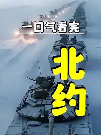 一口气看完北约是一个怎样的组织