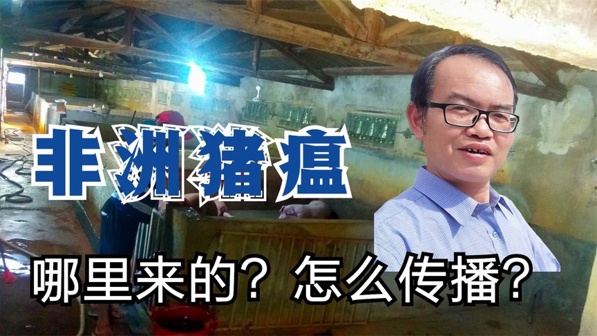 了解非瘟病毒的这些传播方式和渠道,对防控非洲猪瘟很有必要