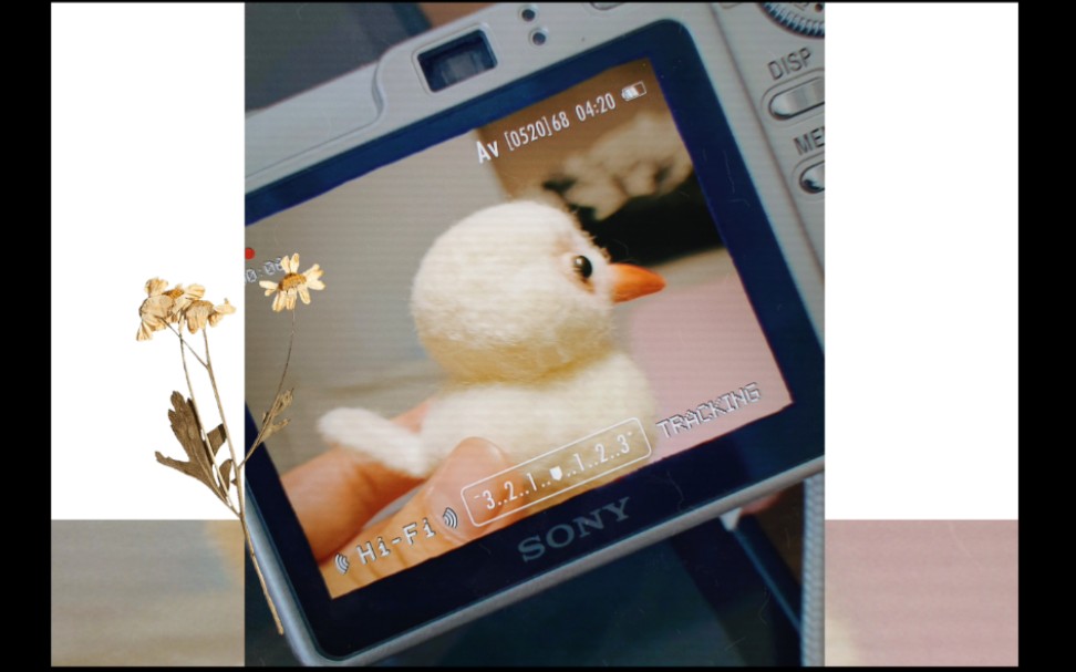 羊毛毡开箱和制作的第一天