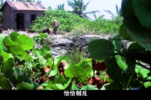 男人耗时十年两次失败,终于完成了不可能的惊天越狱