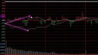 炒股技术大全:找到适合自己的选股指标