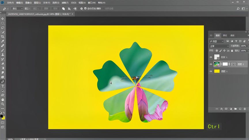 PS图层蒙版与矢量蒙版有什么区别,怎么用?#学浪计划#