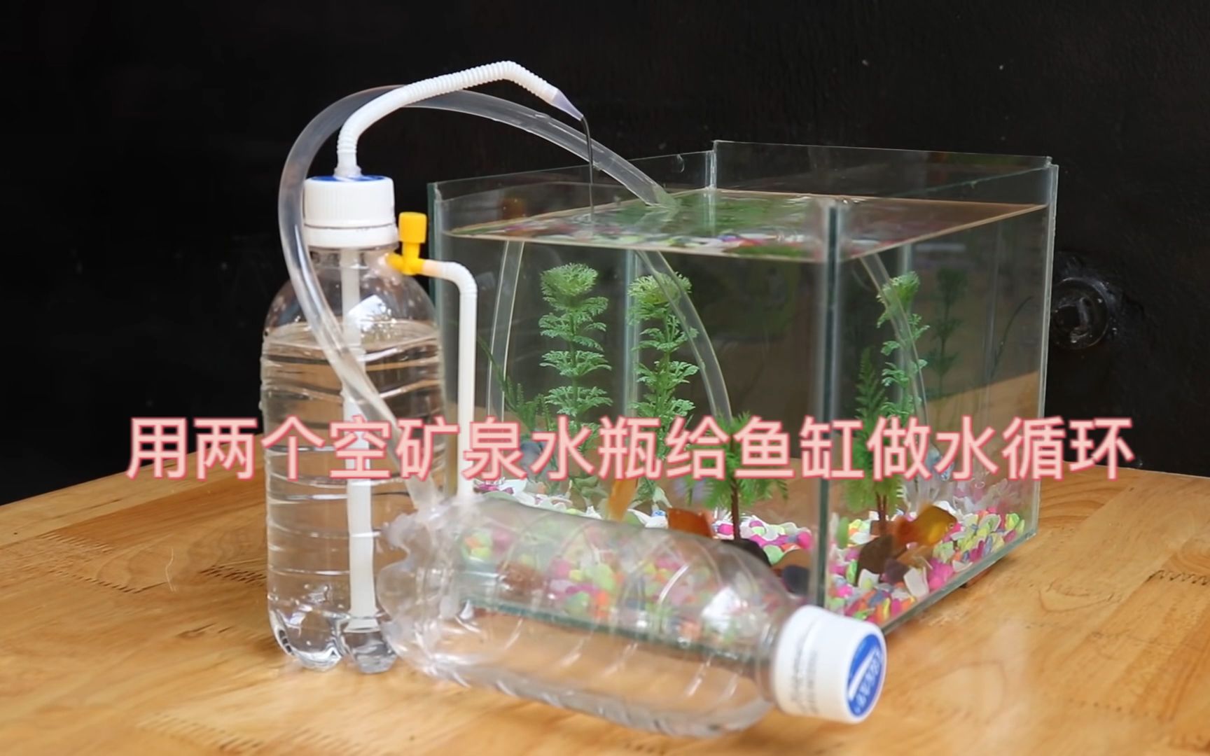 用空水瓶给鱼缸制作无电增氧泵,省了电费不说,还很好用