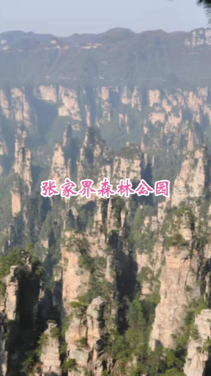 张家界森林公园#张家界