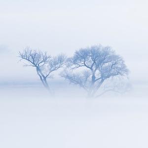 愉悦的梦想kO 