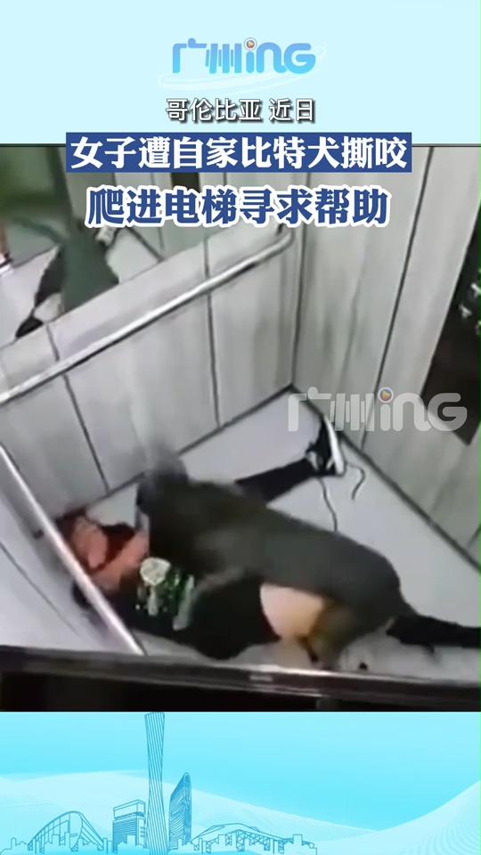 女子遭自家比特犬撕咬,爬进电梯寻求帮助,监控拍下恐怖瞬间。