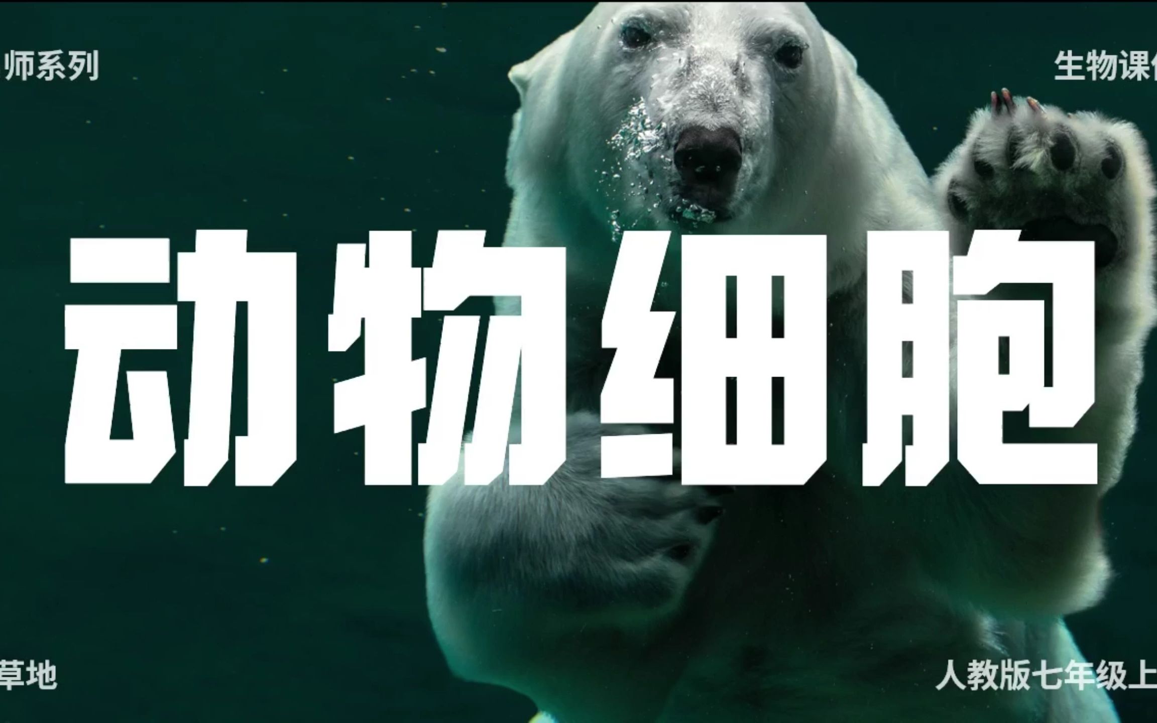 初中生物·动物细胞_课件研究所