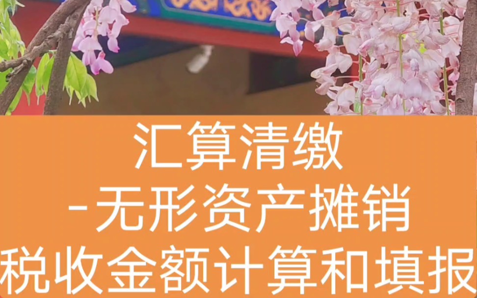 汇算清缴-无形资产摊销(企业所得税)税收金额计算和填报