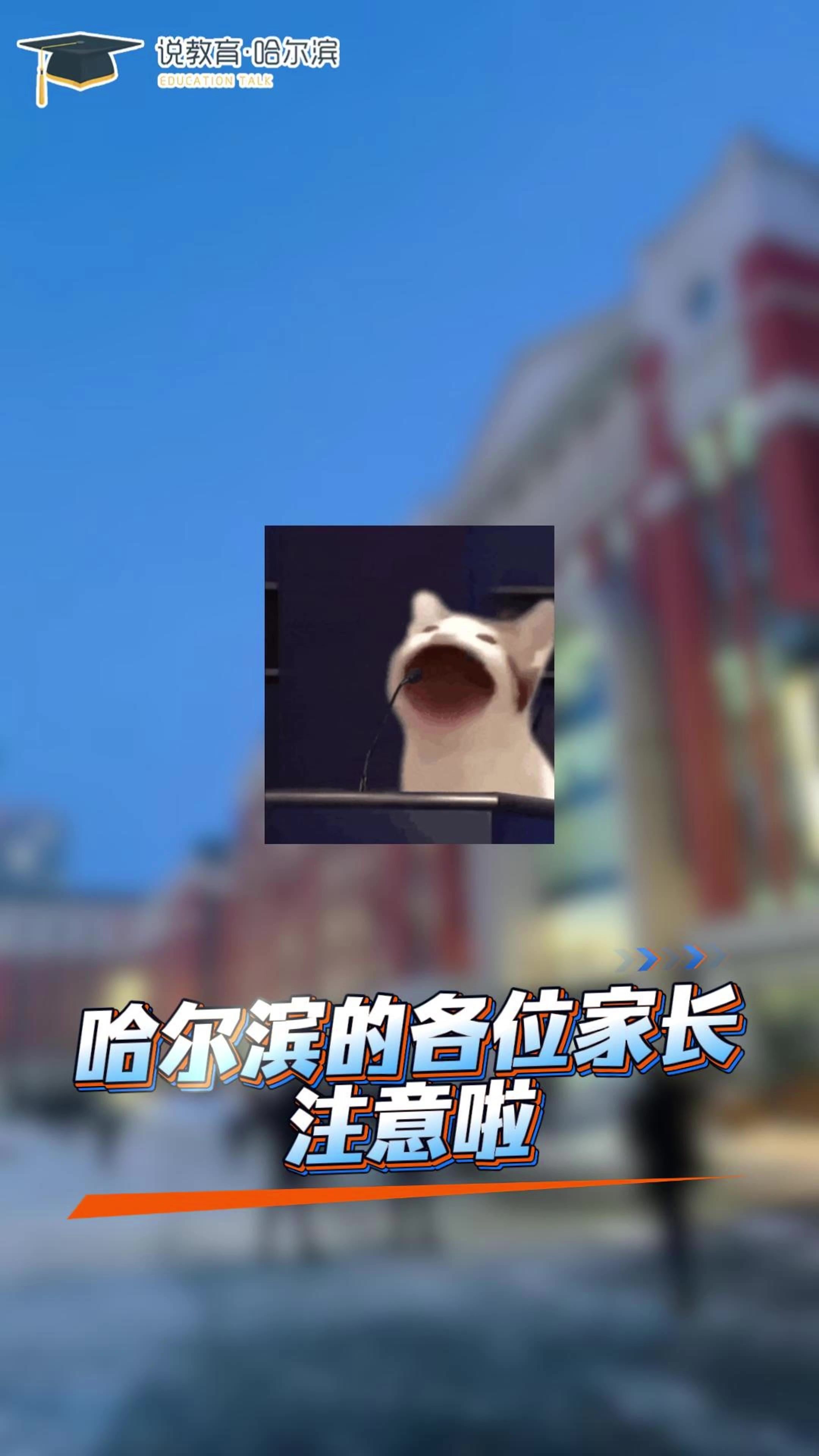 哈尔滨中学生综合素质评价A/B级达标技巧 #哈尔滨中学生综合素质...