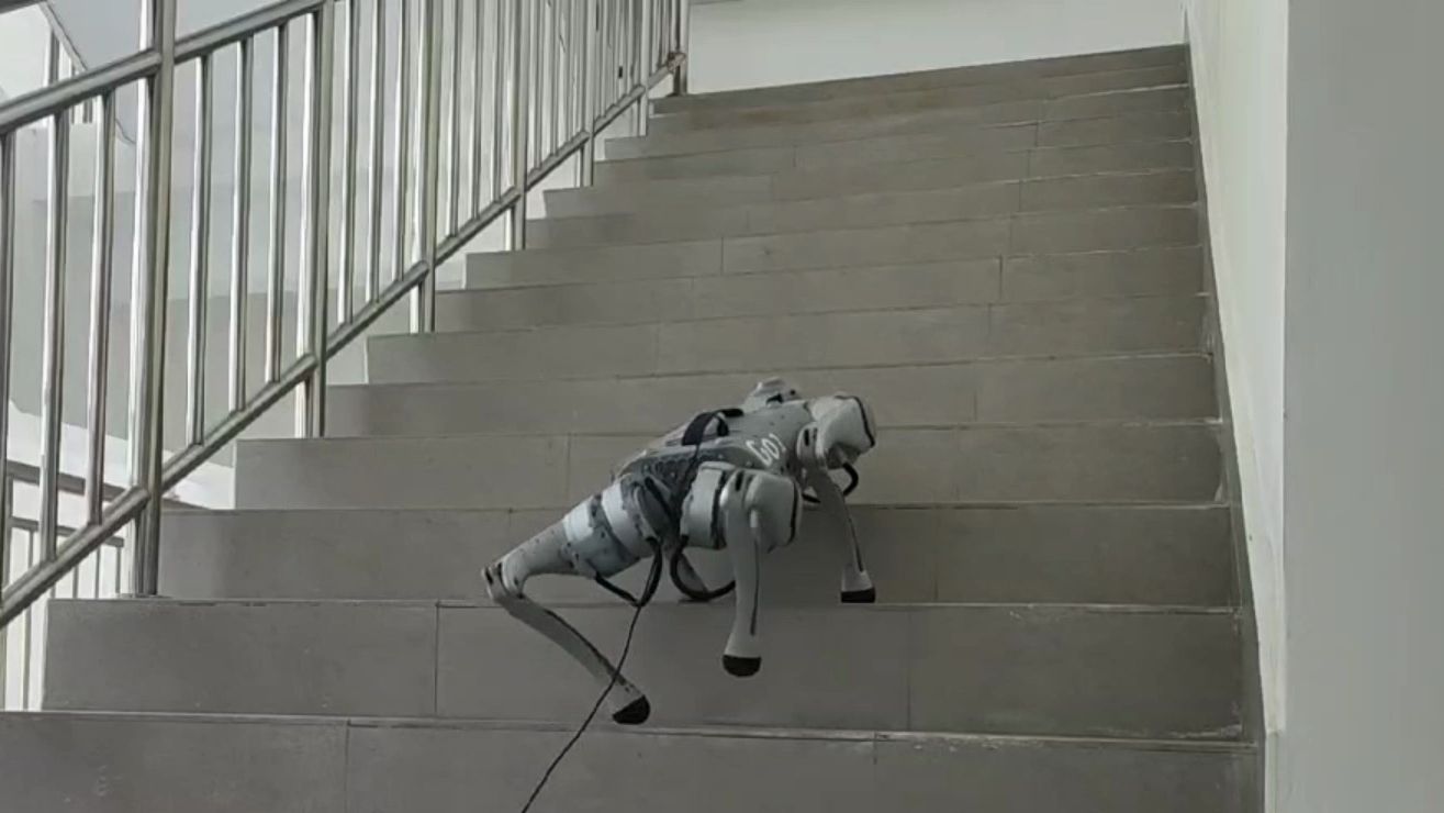 四足机器人强化学习鲁棒运动