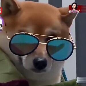 大江大河不是海 