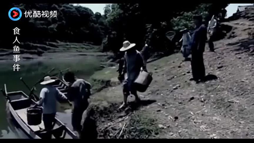 小孩把狗丢进湖里洗澡,不料湖里有食人鱼,小狗瞬间被吃掉了-