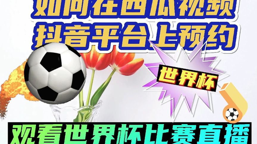 世界杯,如何在西瓜视频抖音平台上预约,观看世界杯比赛直播