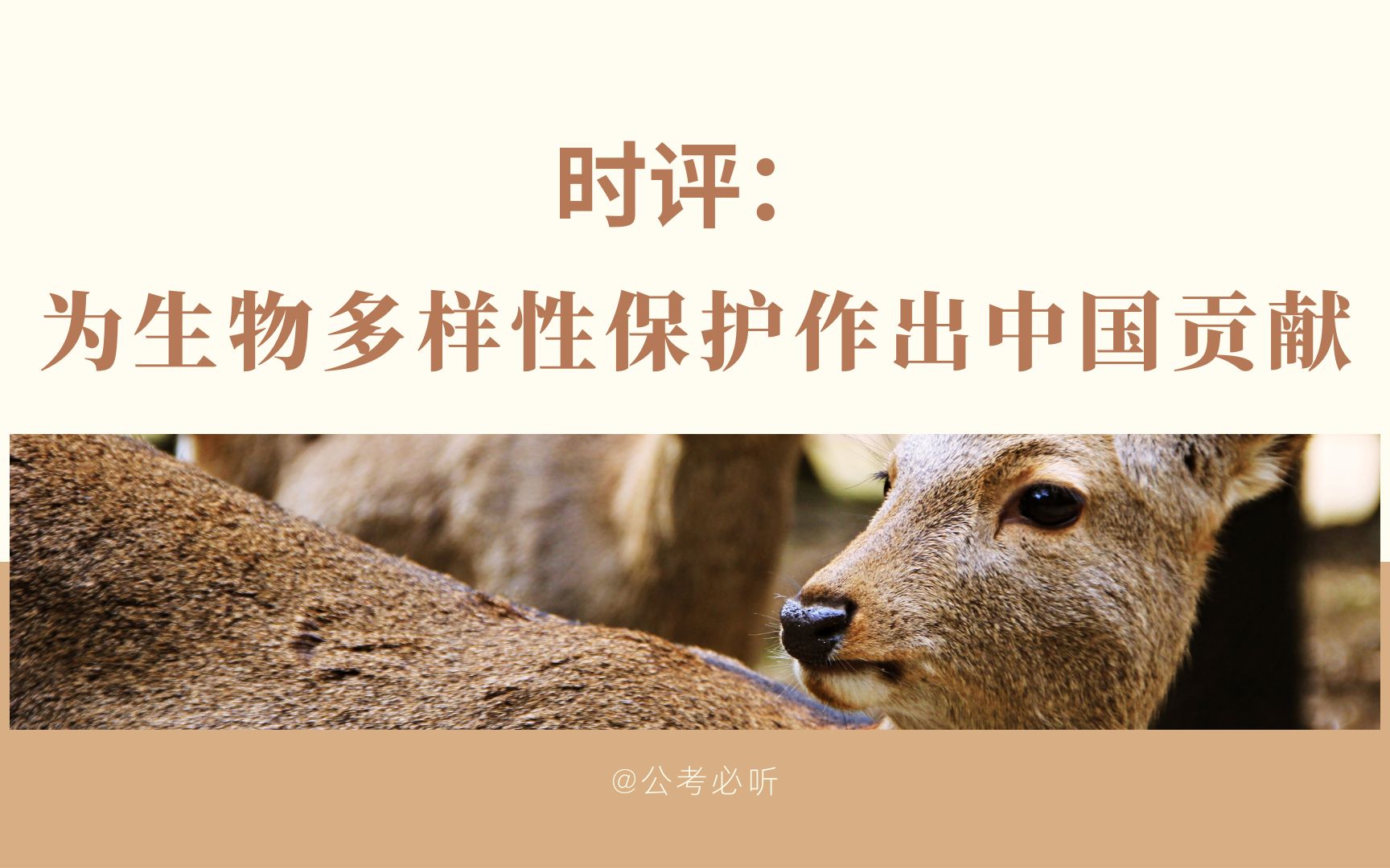 时评:为生物多样性保护作出中国贡献