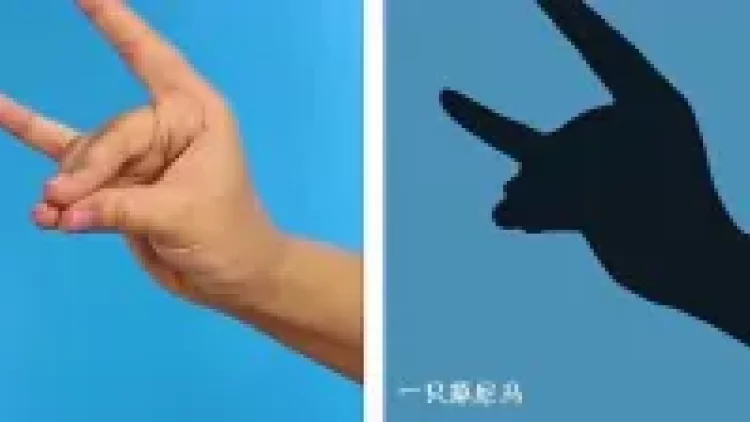 7种简单的手影游戏表演方法,快和孩子一起玩吧