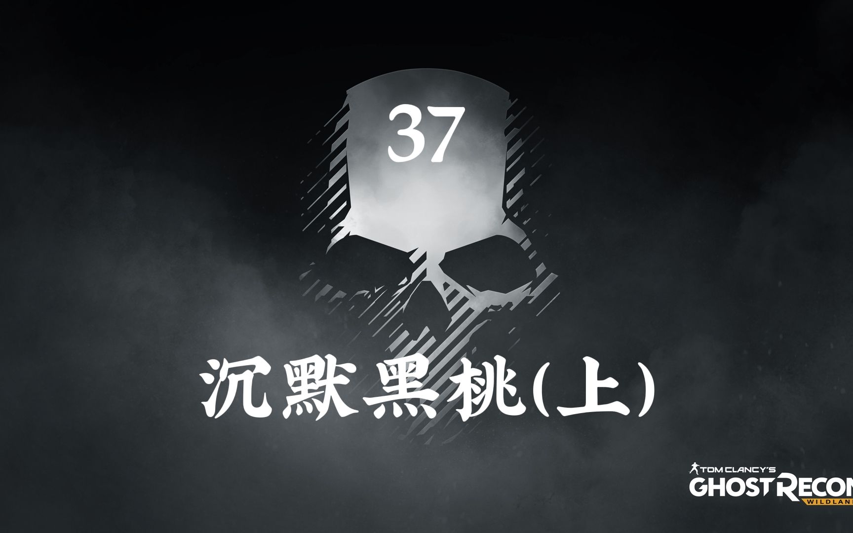 《幽灵行动:荒野》流程攻略【37】(沉默黑桃1)【胖哥解说版】_幽灵...