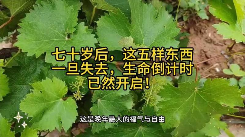 七十岁后,这五样东西一旦失去,生命倒计时已然开启!