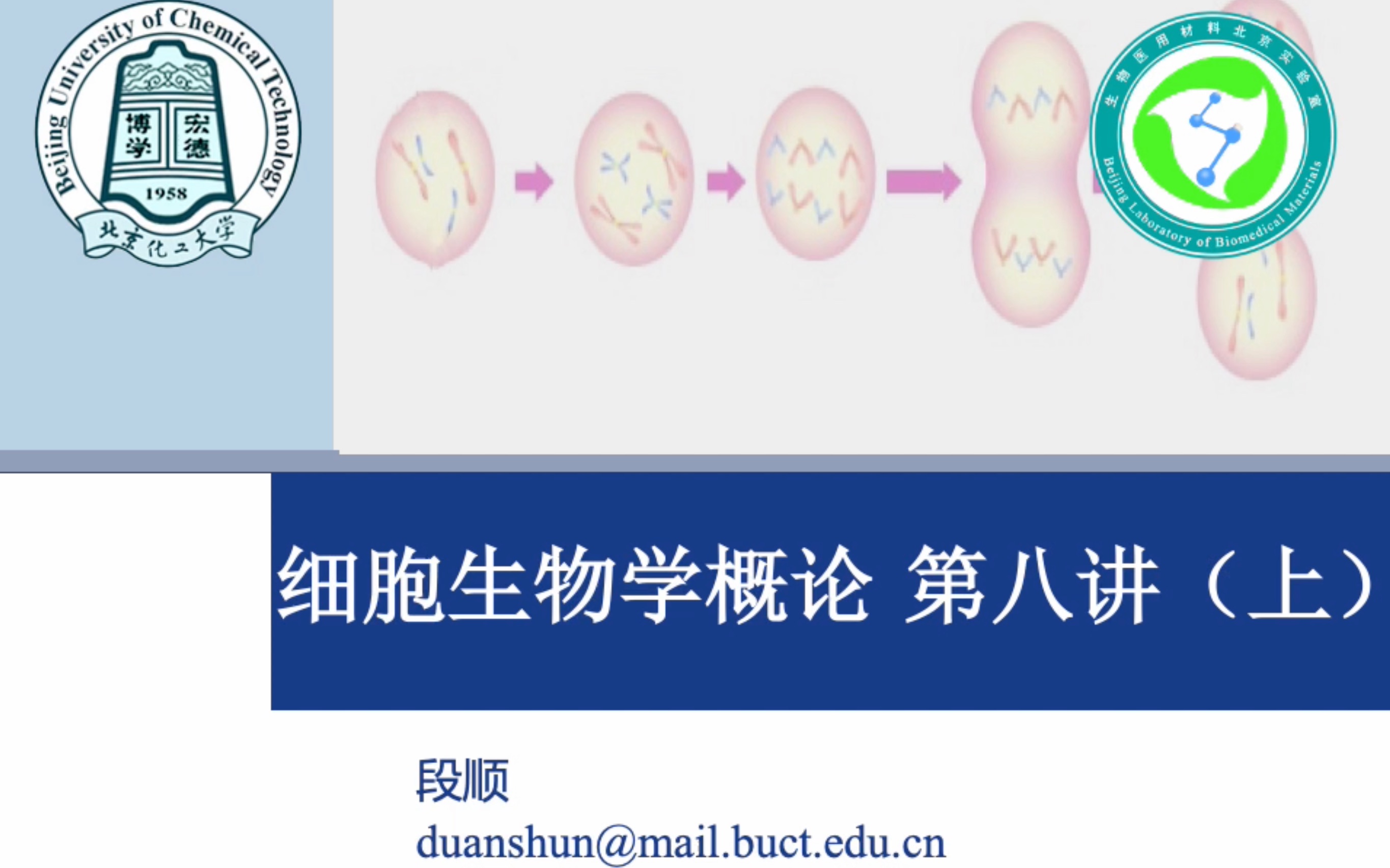 第八讲(下)-癌细胞,细胞衰老,细胞死亡