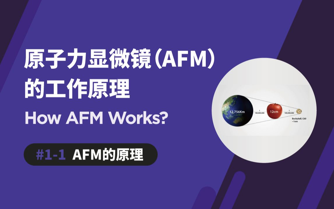 1-1原子力显微镜的原理