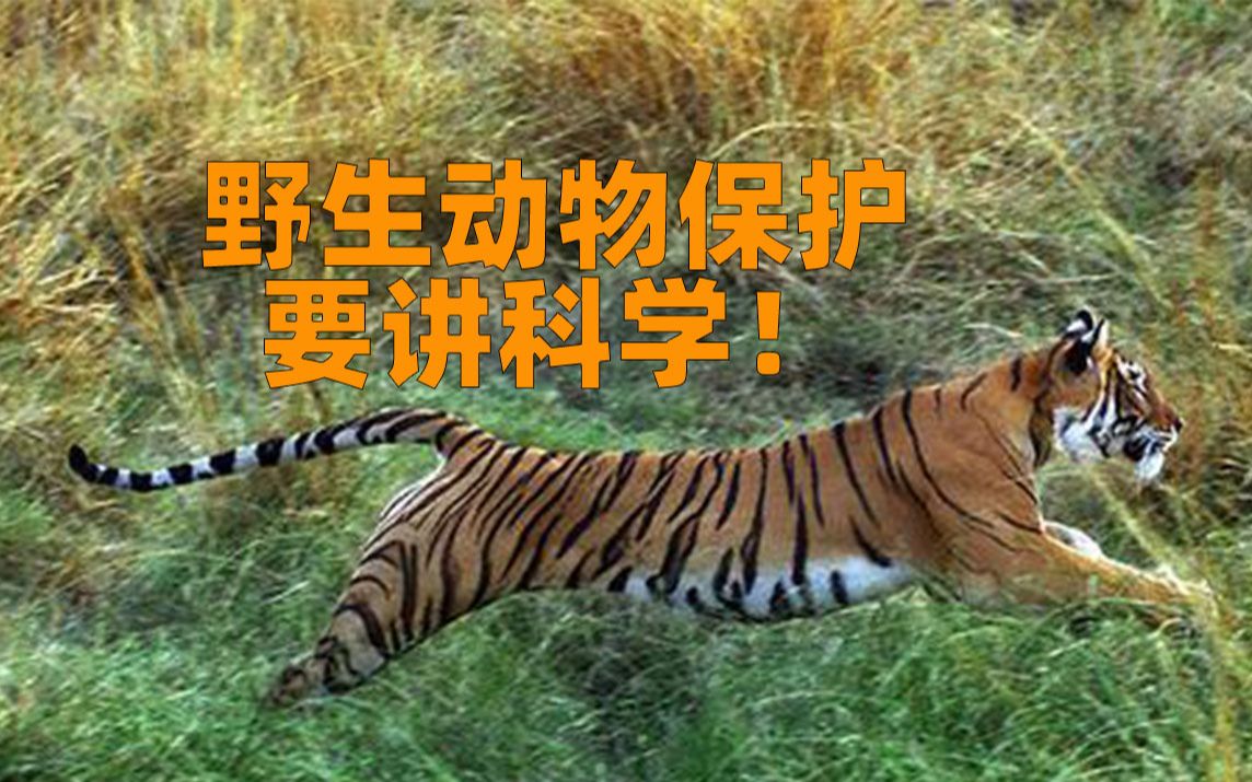 【中字】野生动物保护工作中的科学作用