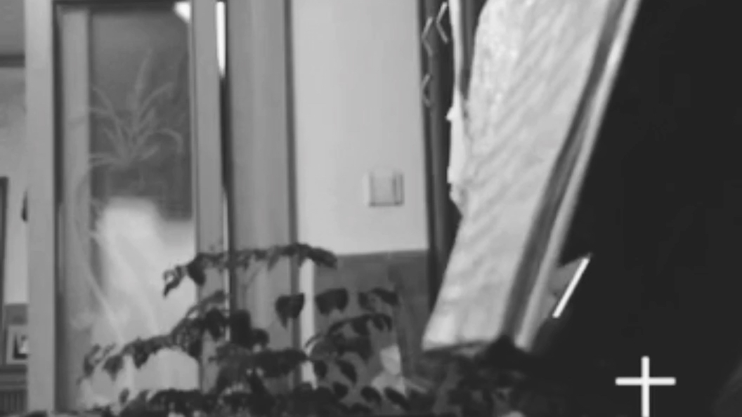 《十年》-初闻不识曲中意,再听已是曲中人