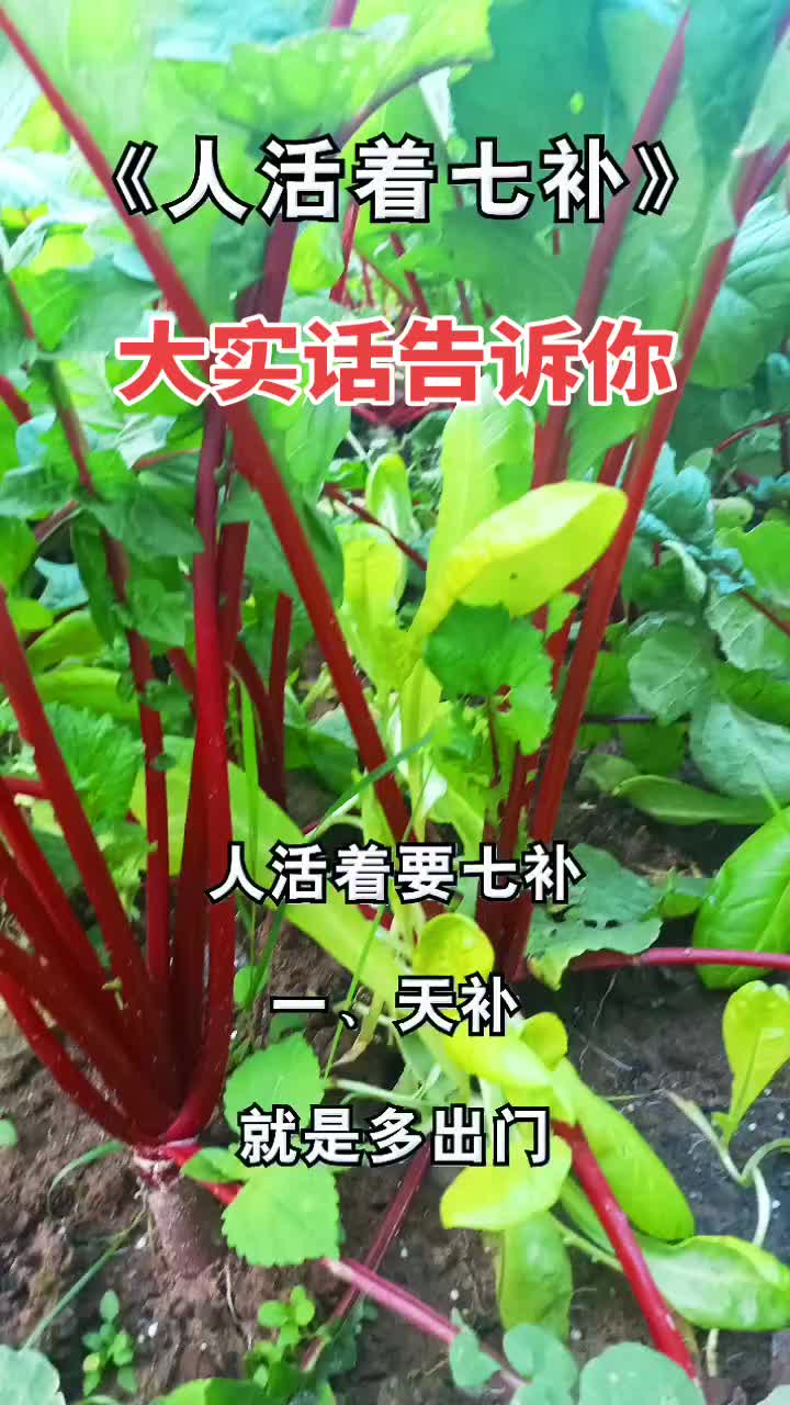 #人生哲学正能量 #我的农村生活 #生地和熟地合用功效和作用!大实话...