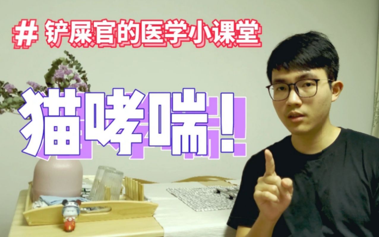 【兽医小小康】关于猫哮喘的铲屎官必备知识!担心猫咪有哮喘?看完...